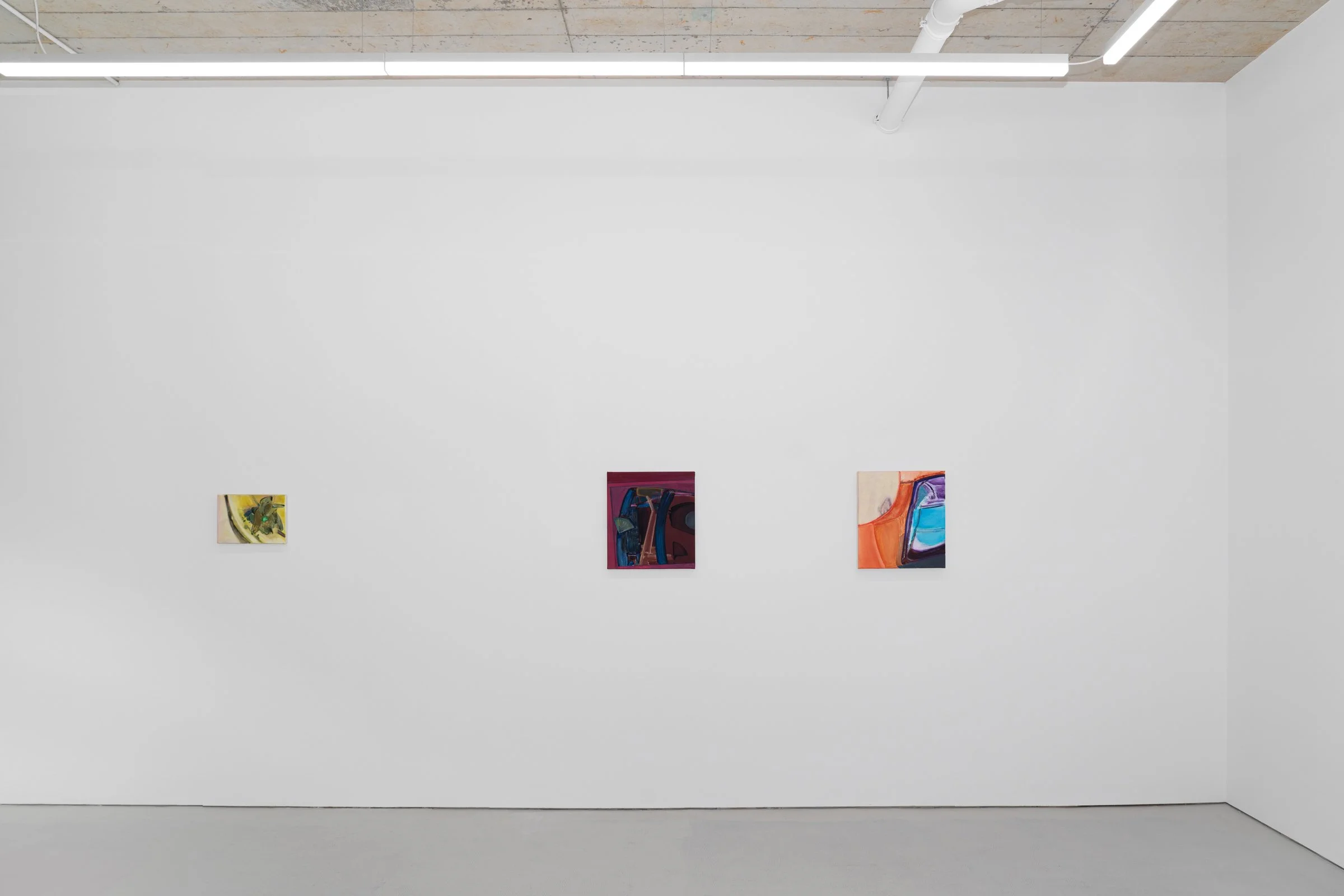 Amelia Barratt at William Hine Gallery — William Hine