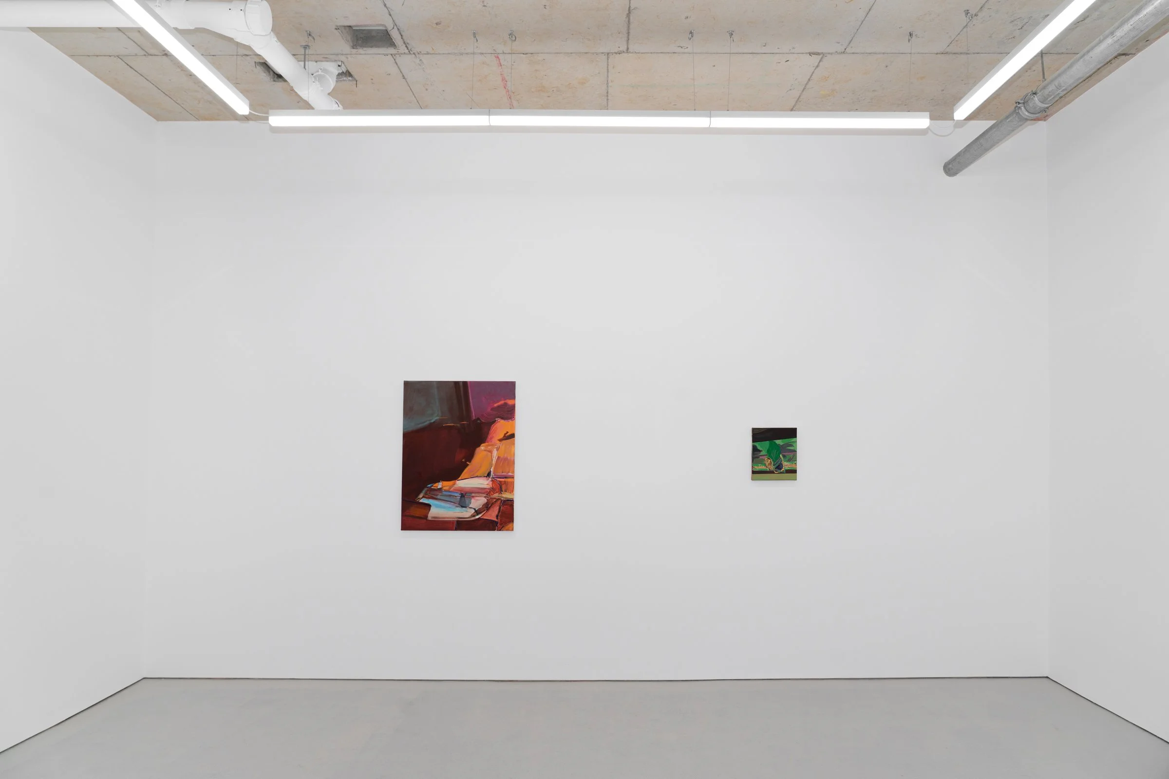 Amelia Barratt at William Hine Gallery — William Hine