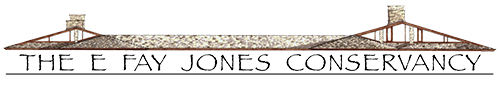 E Fay Jones Conservancy — About Fay Jones