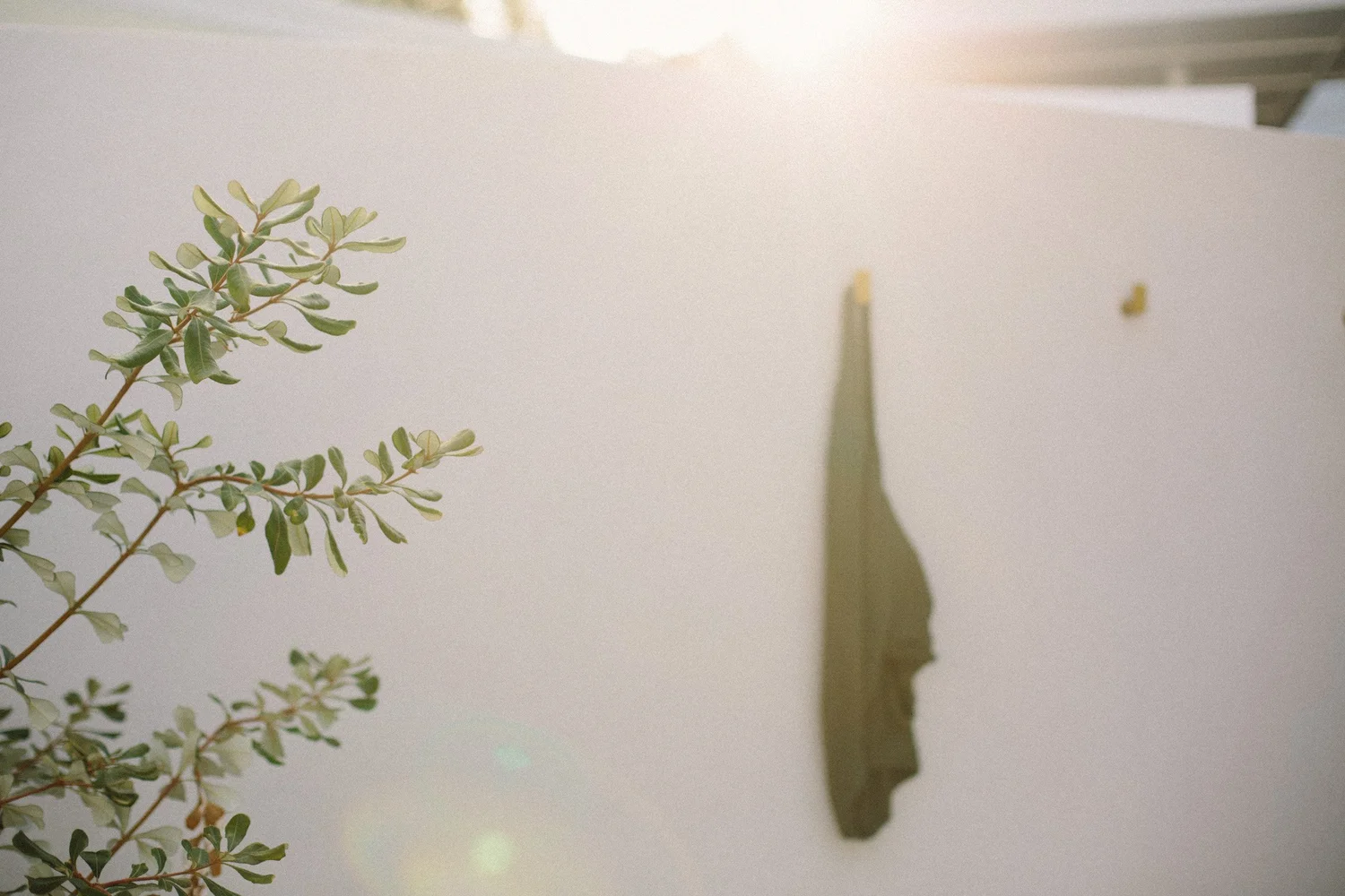 Byron Bay Wellness Spa | The Byron Bathhouse