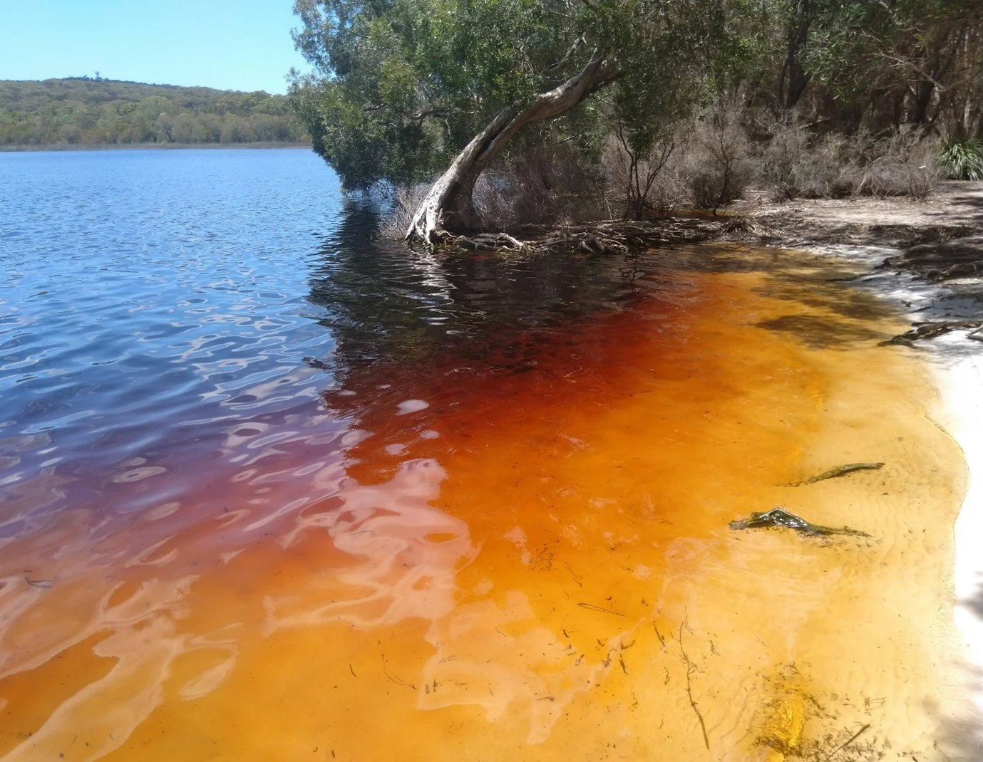 20th World Lake Conference, Brisbane 2025 — 20th World Lake Conference