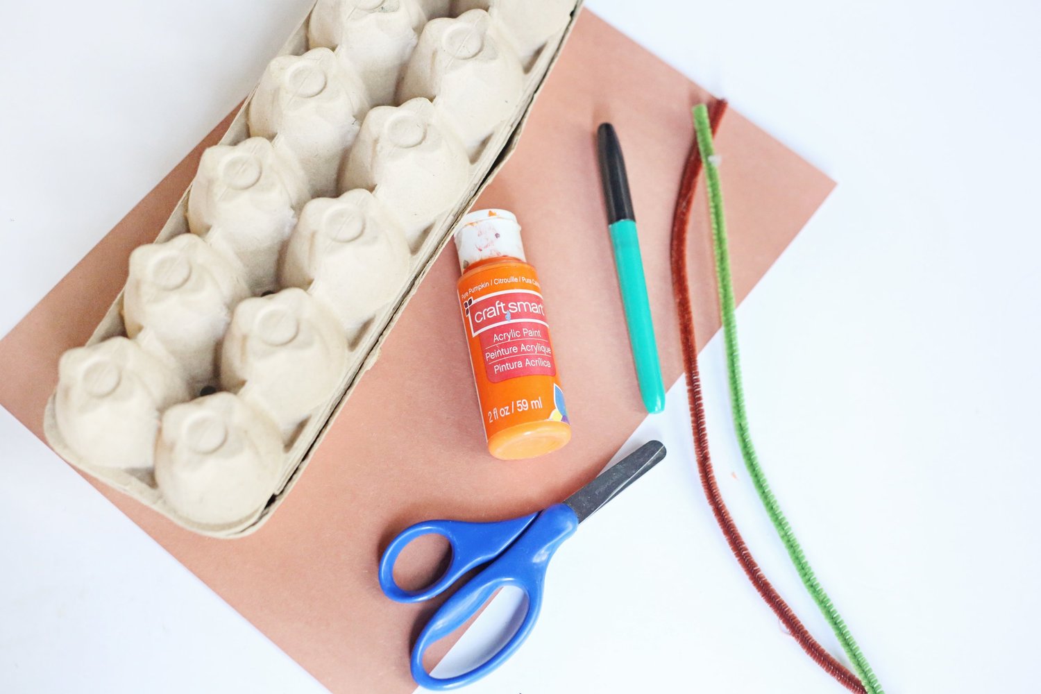 Easy DIY Pumpkin Patch Egg Carton Craft for Kids — Crafty Kids Blog