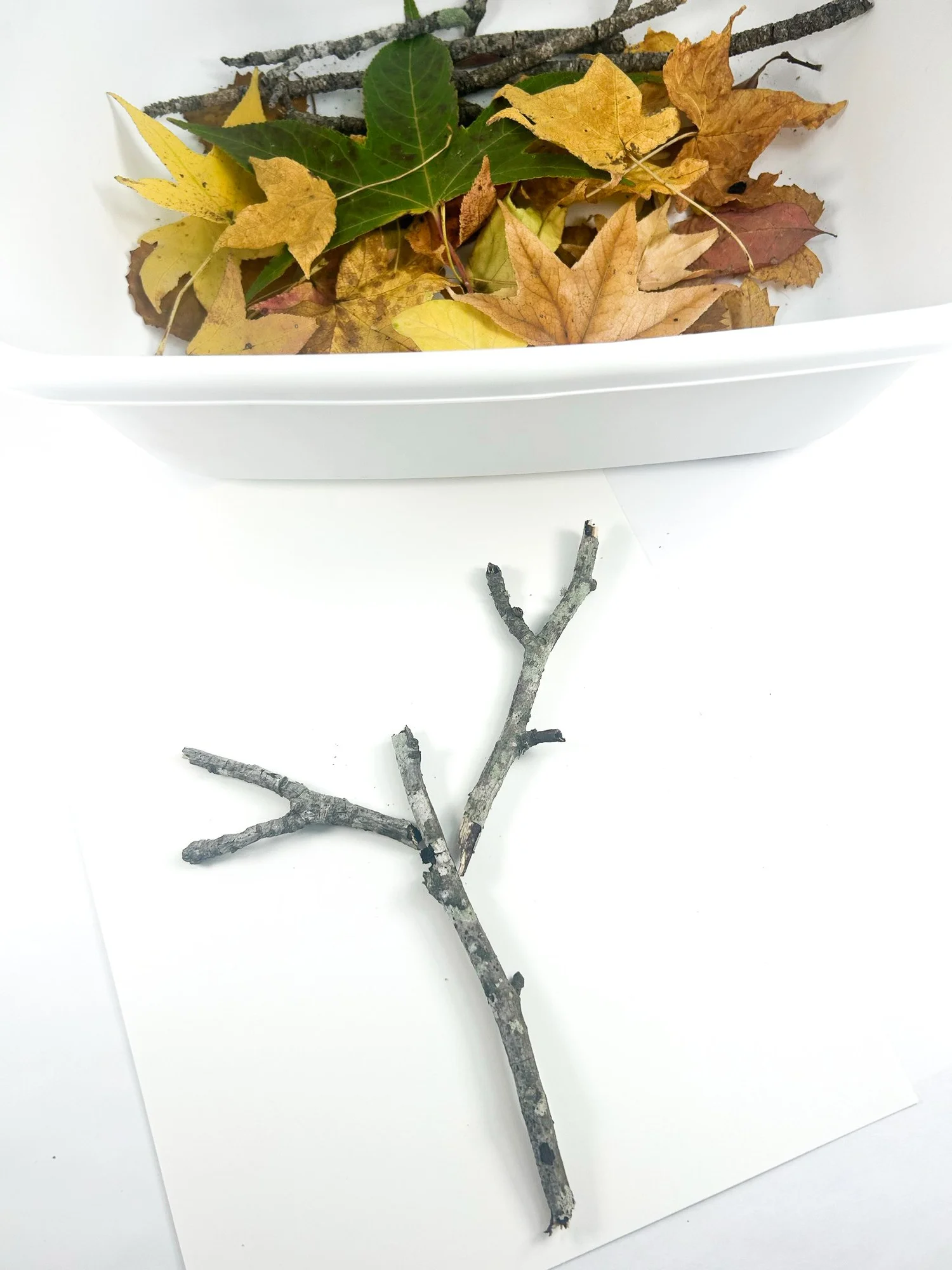 Leaf Tree Easy Craft for Preschoolers to Make this Autumn — Crafty Kids ...