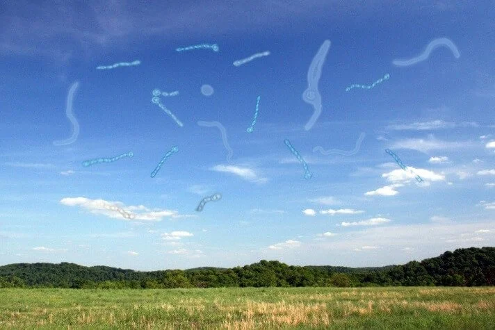 Eye Floaters Treatment Options | United Eye Centers