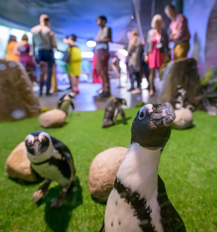 Events — Minnesota Zoo Foundation