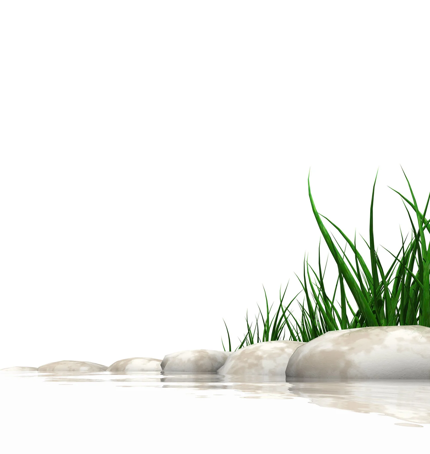 Providers — Sahara Wellness Center