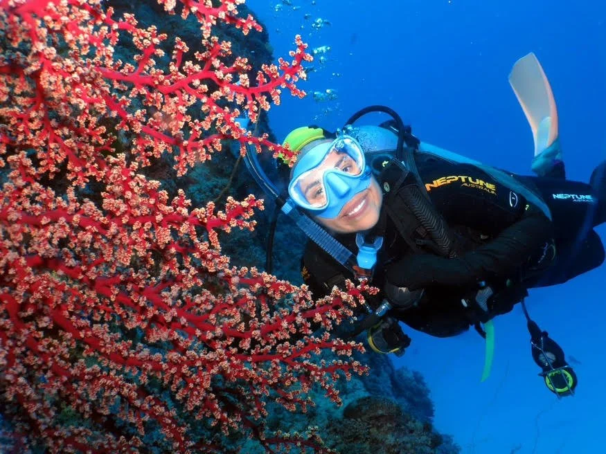 General 5 — Dr. Alex Schnell