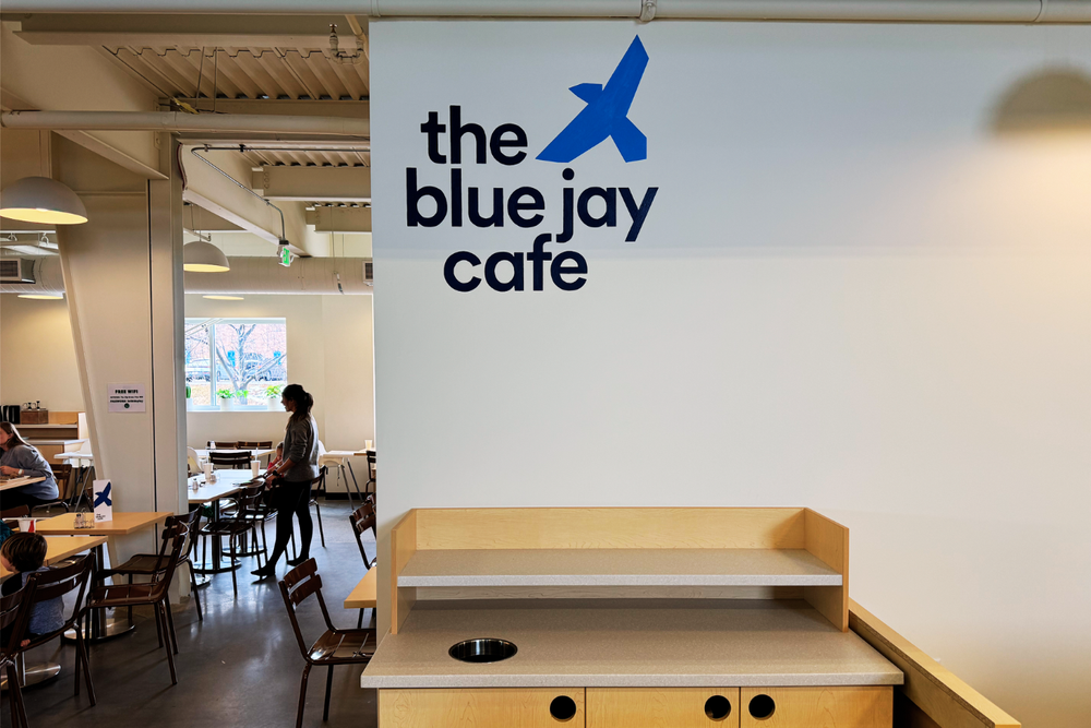 The Blue Jay Cafe — the big green indoor playground