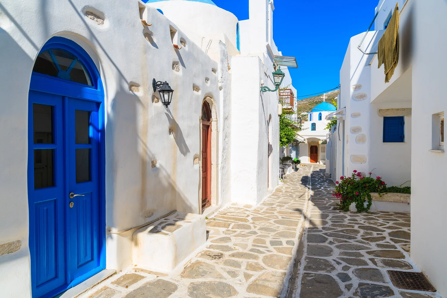 Greek Festival Corpus Christi | Explore Things to Do