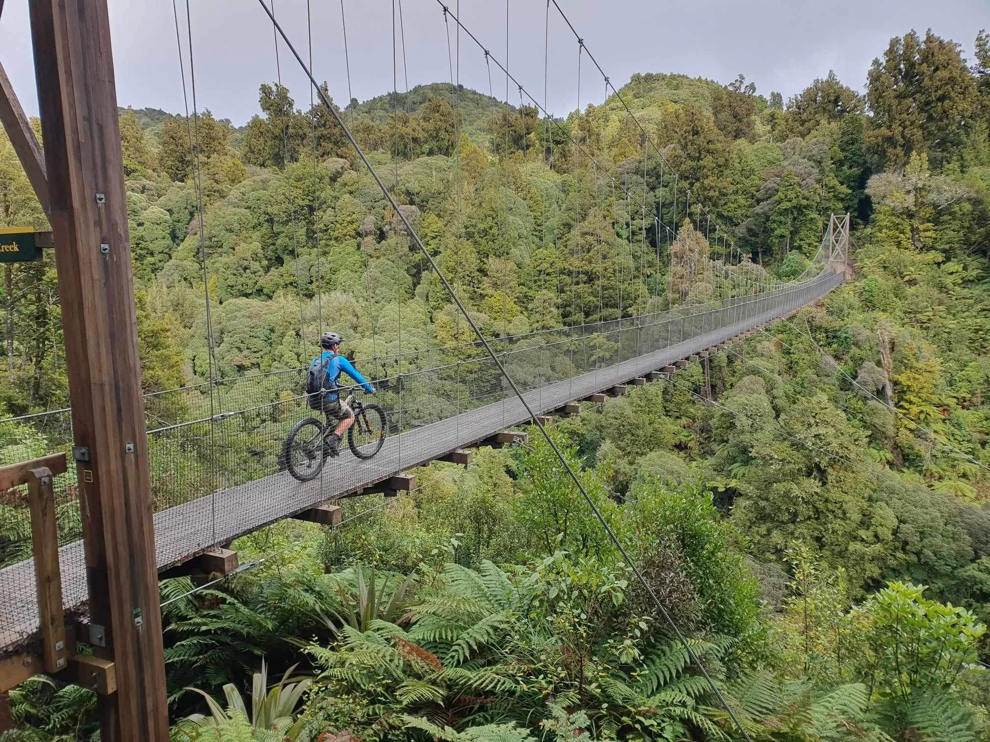 Timber Trail — FourB - Taupō Mountain Bike Specialists | Taupo MTB Hire ...
