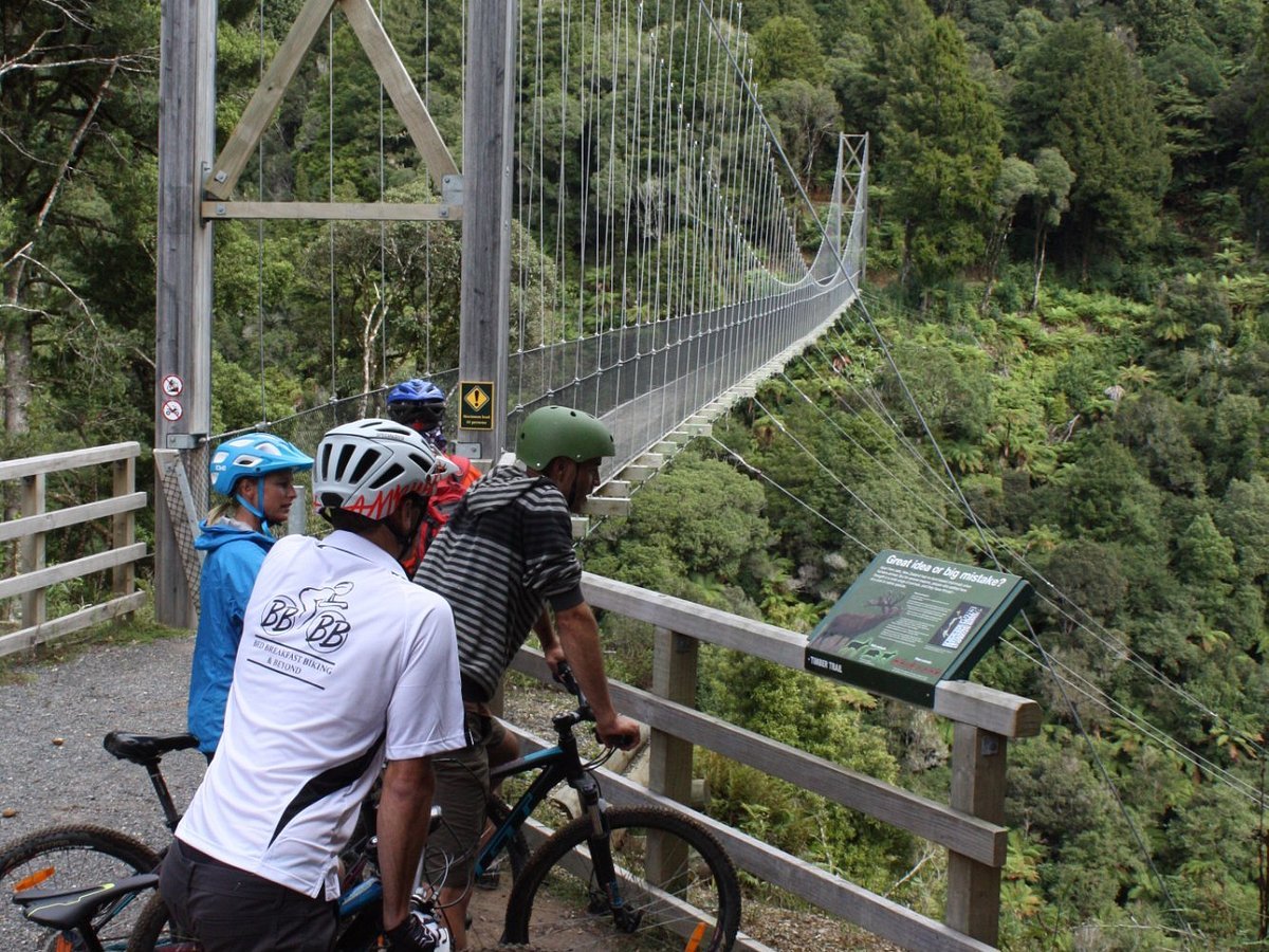 Timber Trail — FourB - Taupō Mountain Bike Specialists | Taupo MTB Hire ...
