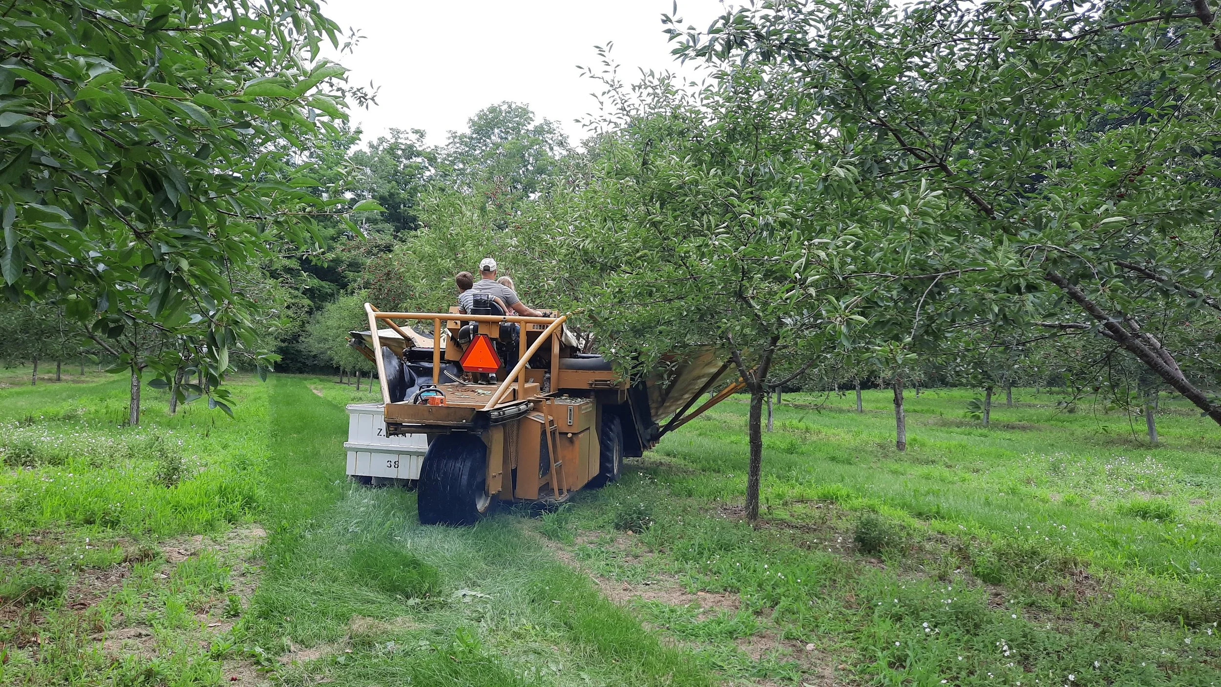Practices | Sustainability — Zane Gray Farms