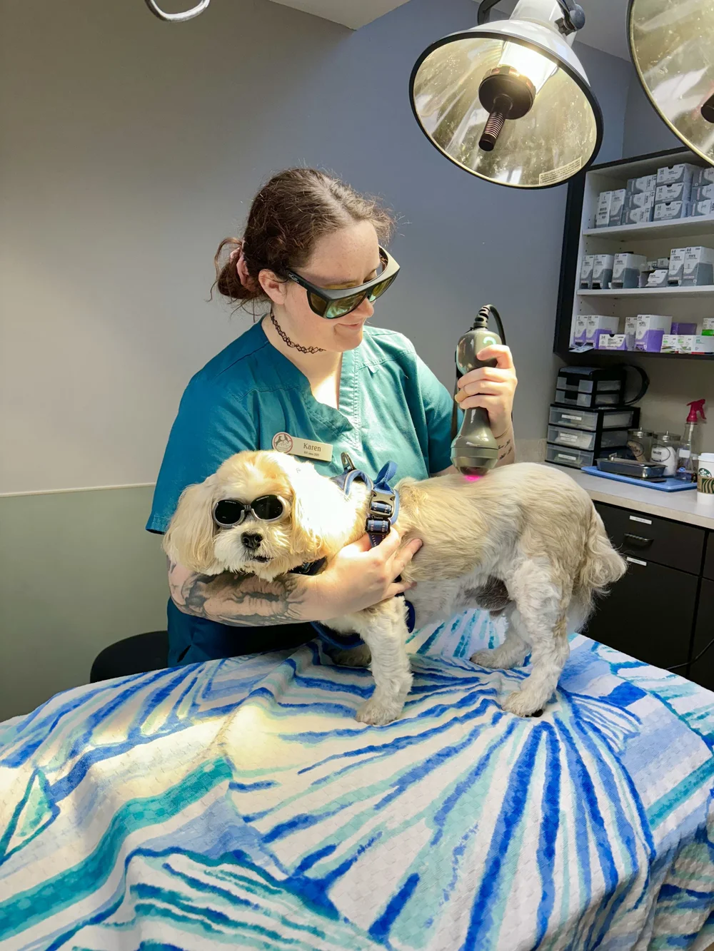 Crossroads Animal HospitalCrossroads Animal Hospital