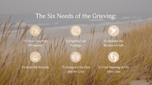 The Six Needs of the Grieving: A Comprehensive Guide to Healing and ...