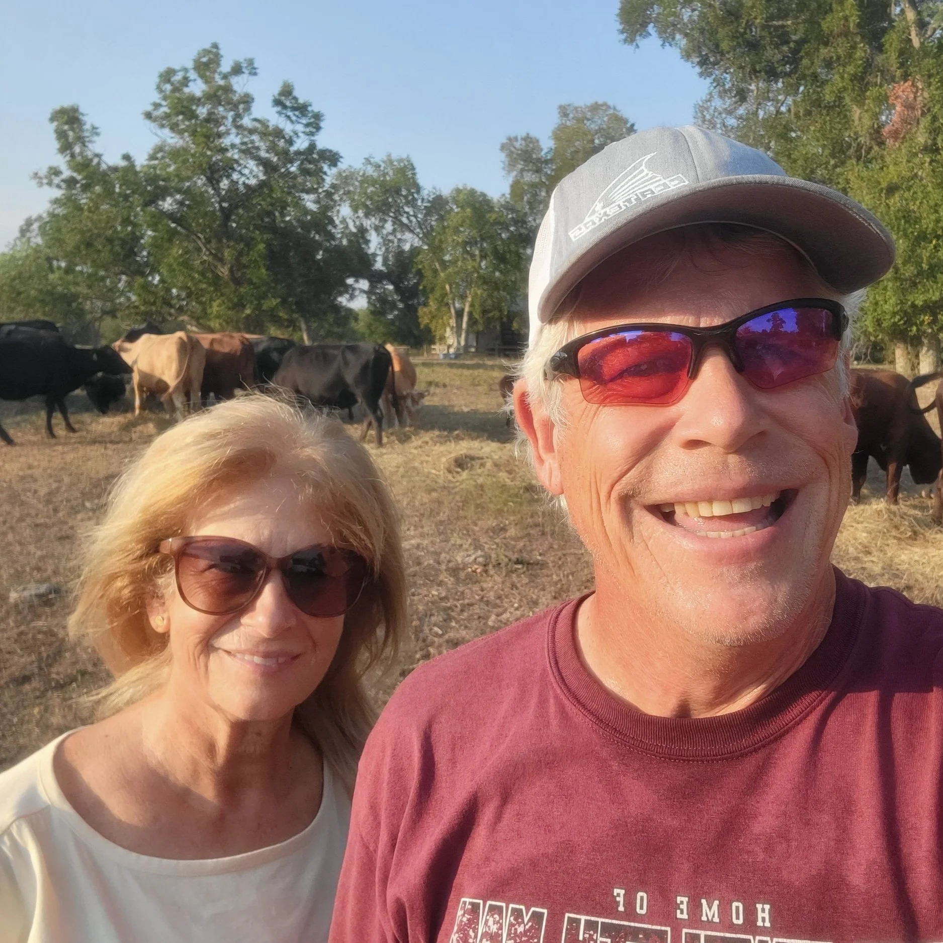 DFT Cattle Co. | Farm-Fresh Beef & Eggs | Richmond, TX