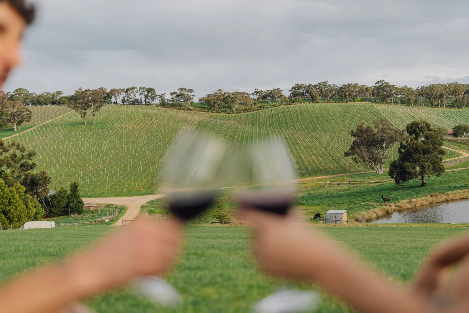 Gallery 3 — Longview Vineyard