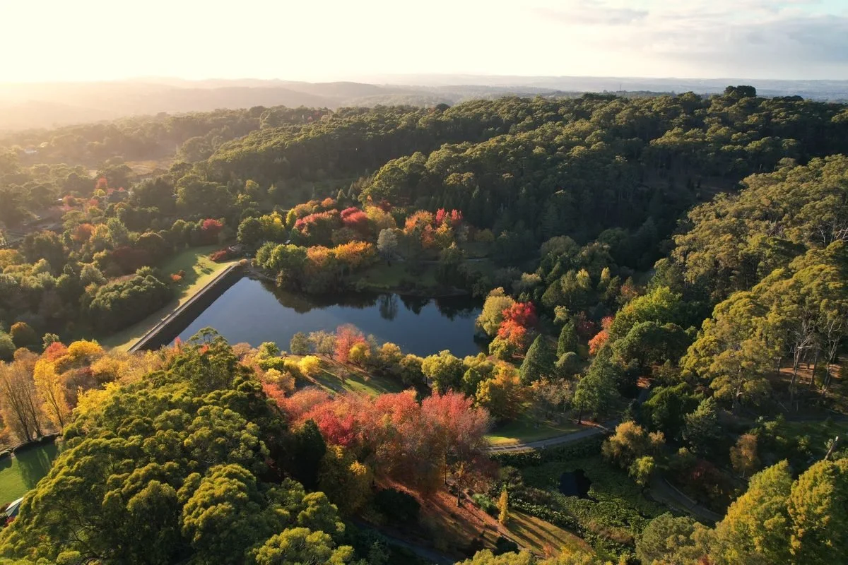 Adelaide Hills — Longview Vineyard