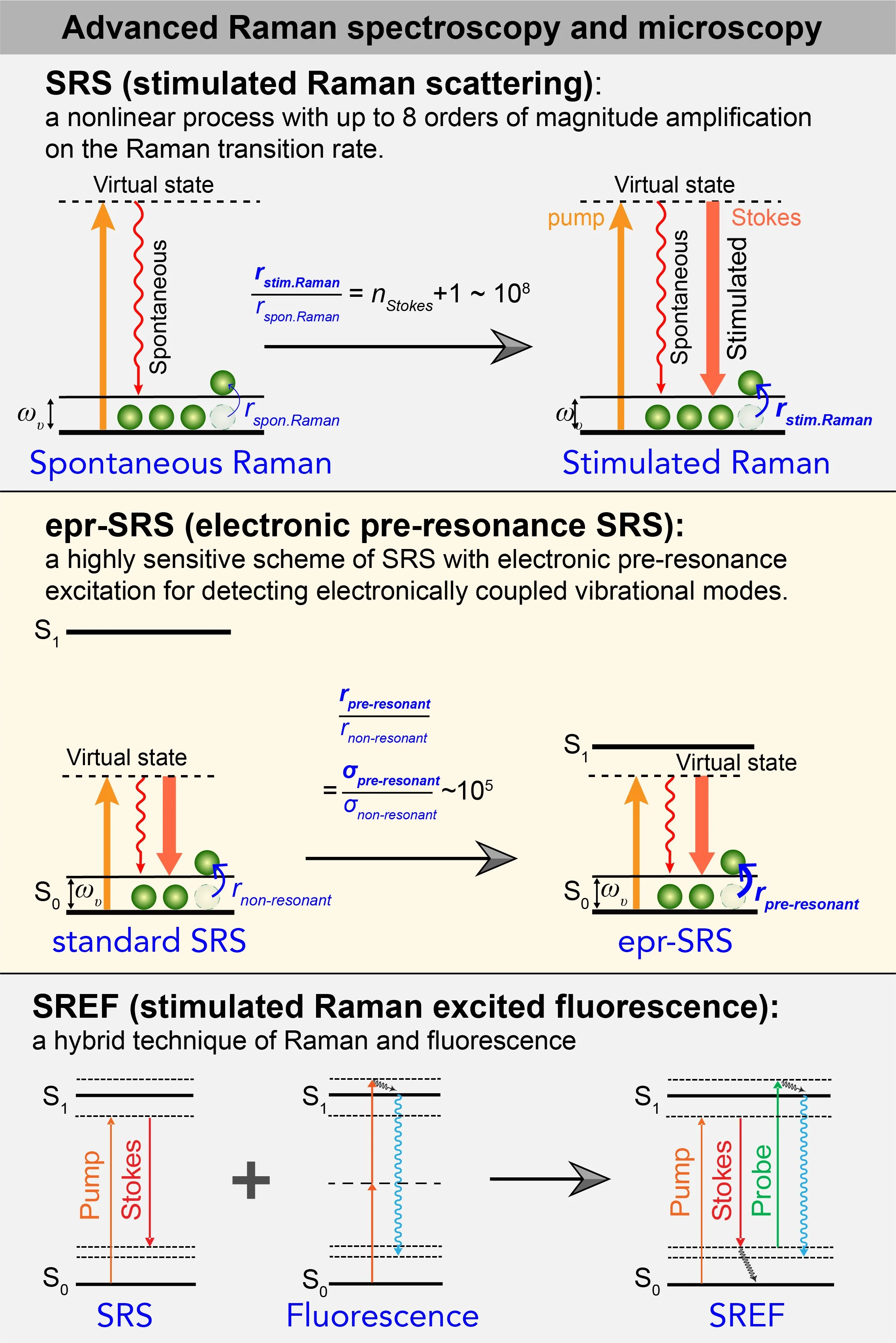 Research — The Shi Lab @ Fudan