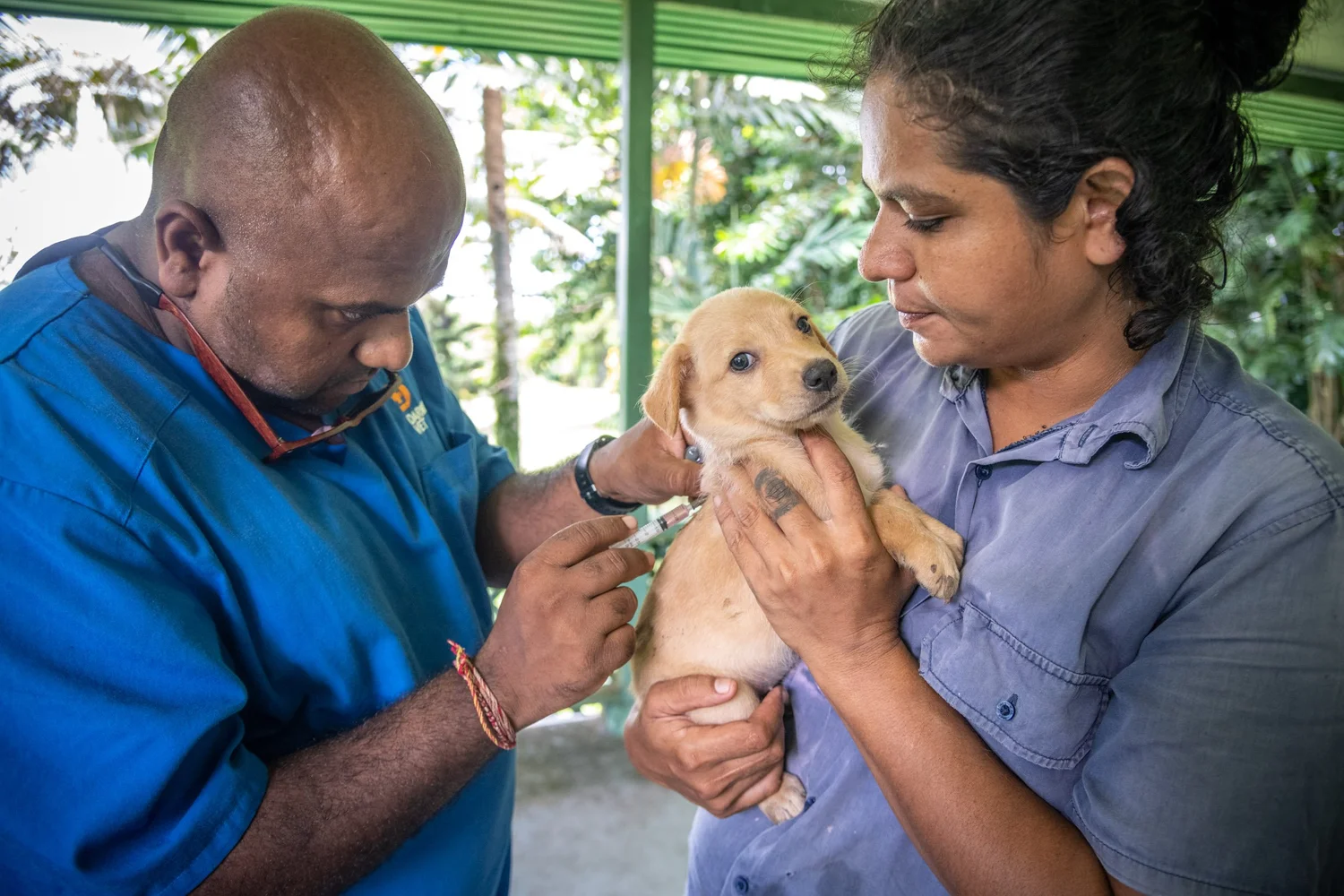 SPCA Fiji Islands
