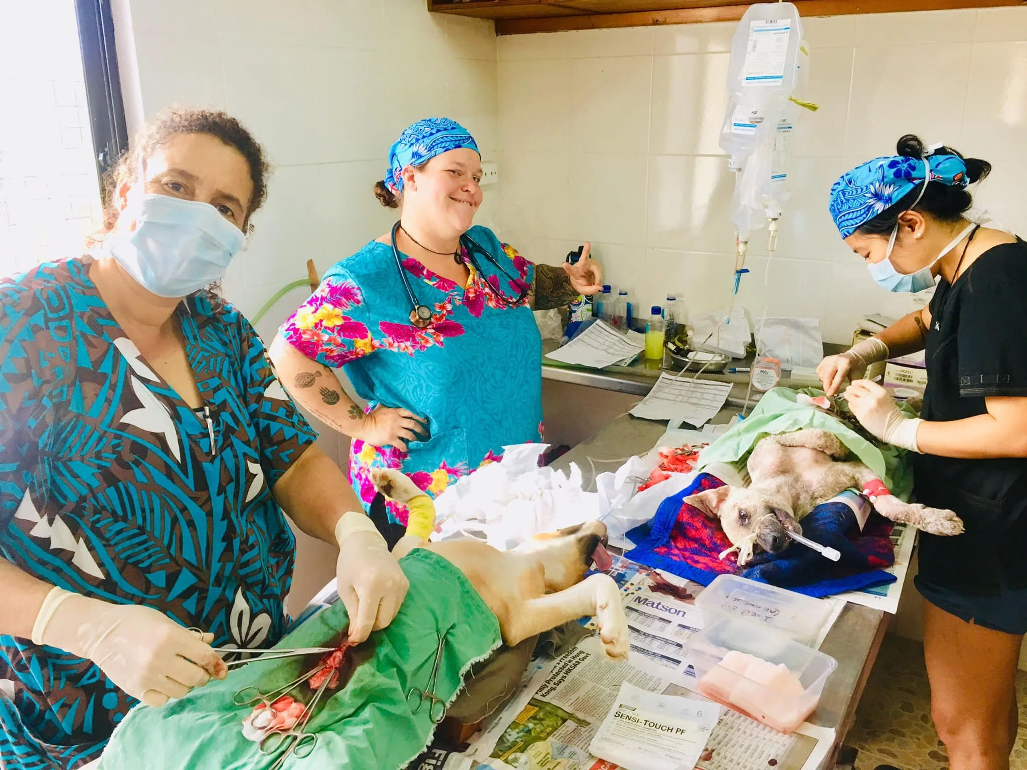 SPCA Fiji Islands