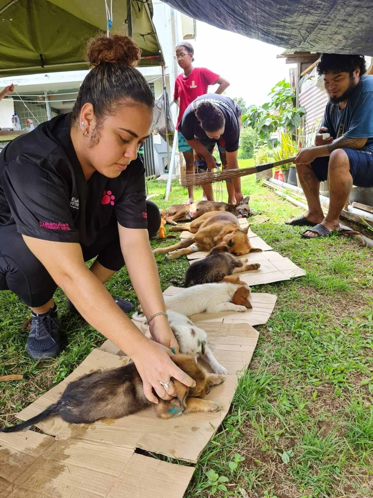 SPCA Fiji Islands