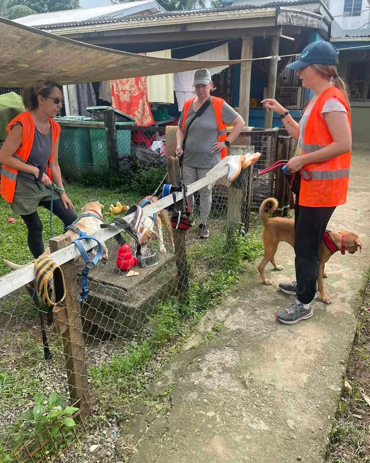 SPCA Fiji Islands