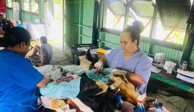 SPCA Fiji Islands