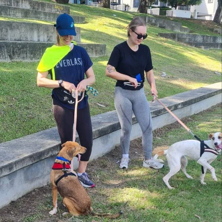 Our Services — SPCA Fiji Islands