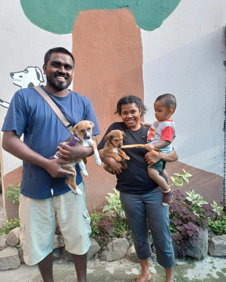 SPCA Fiji Islands