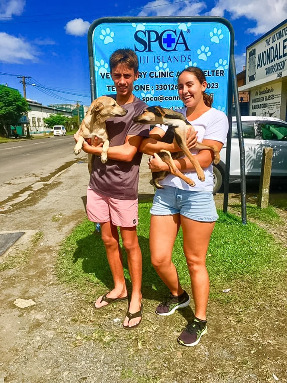 How to help — SPCA Fiji Islands