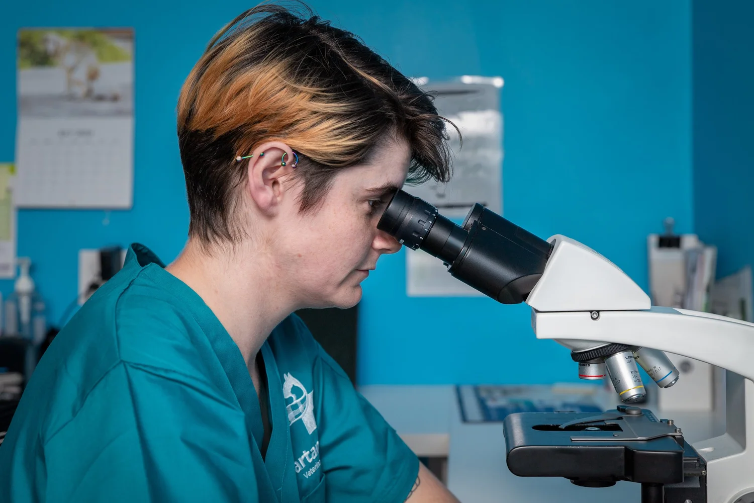 Cape Breton Location — Tartan Tails Veterinary Hospital