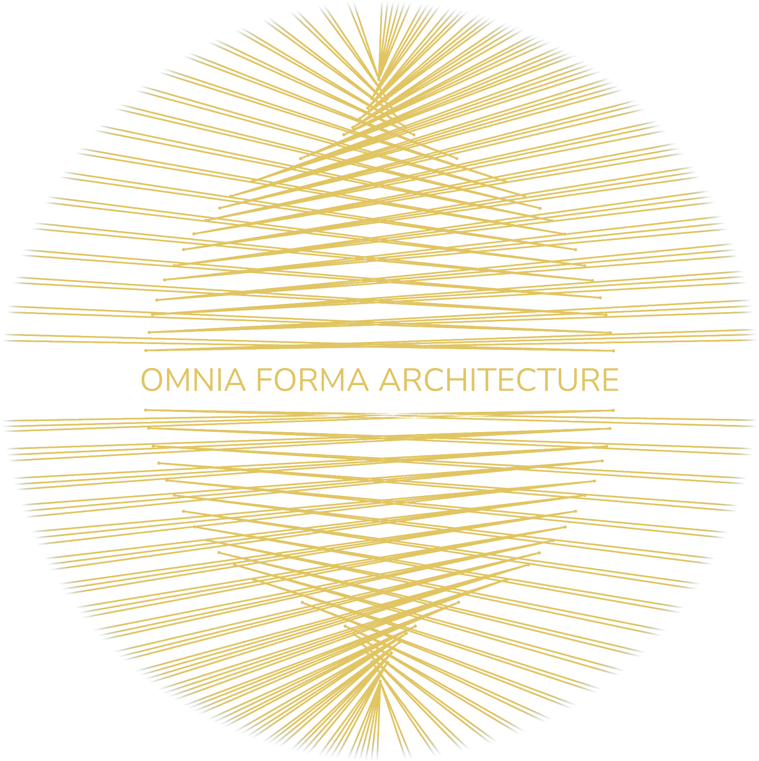 OFA - Omnia Forma Architecture I Beacon + Hudson Valley NY