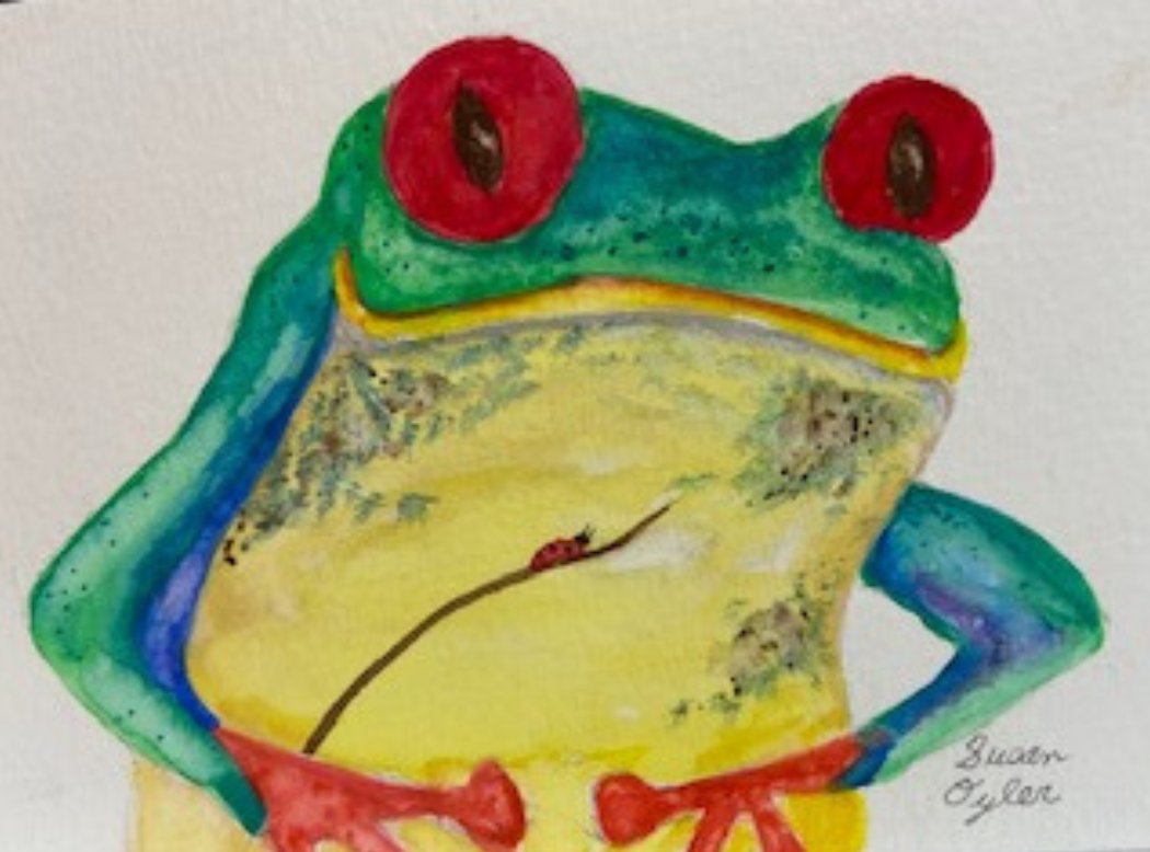 General 2 — Southern Arizona Arts Guild