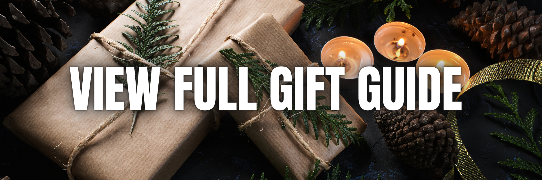 2024 Holiday Gift Guide — Royal Canadian Institute for Science