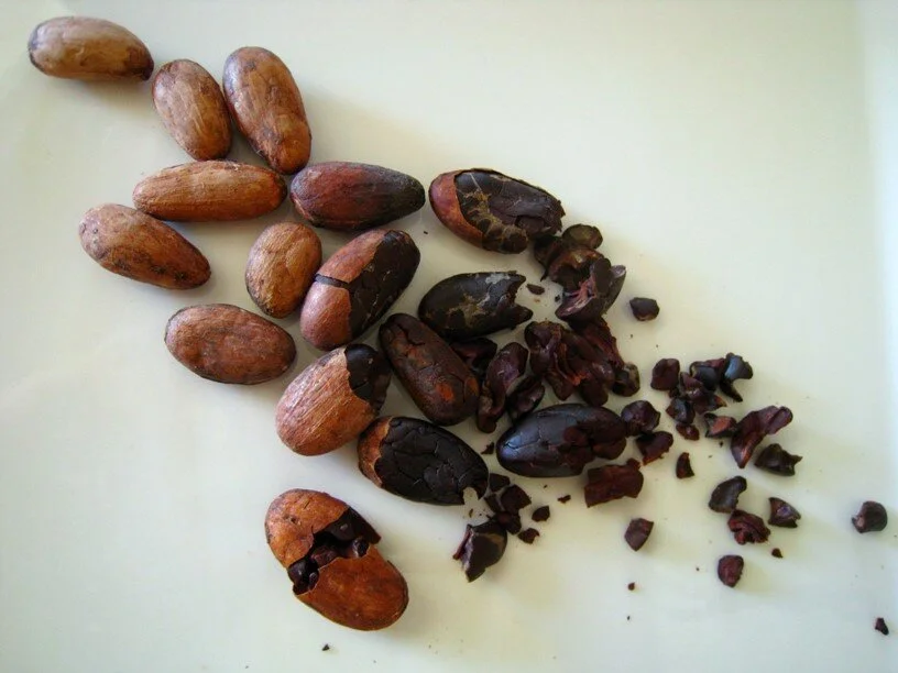 The Science of Chocolate — Royal Canadian Institute for Science