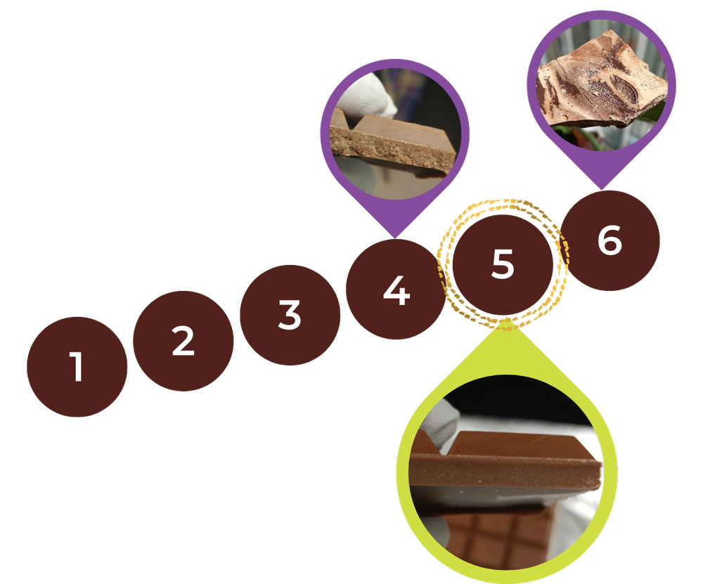 The Science of Chocolate — Royal Canadian Institute for Science