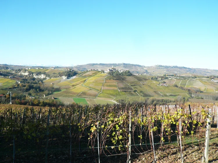 Field Blend Selections