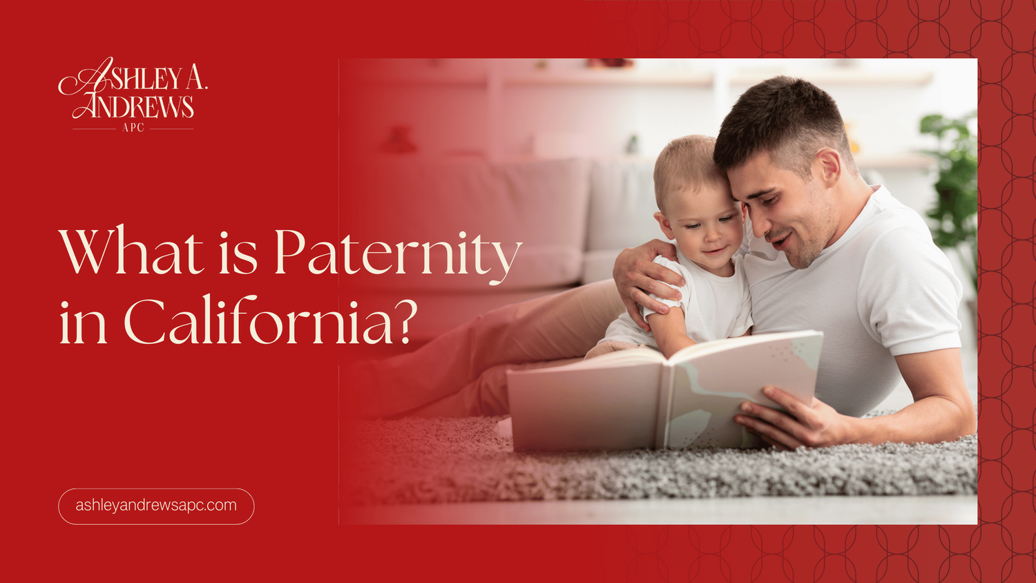 What is Paternity in California? — Ashley A. Andrews, APC