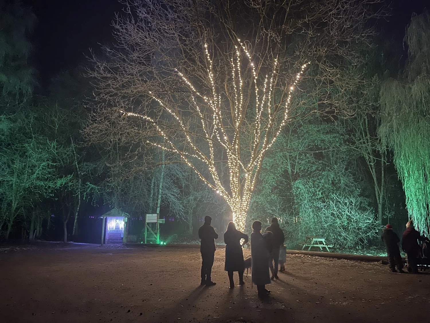 Heritage Wood Illuminated Walk — Heritage Wood