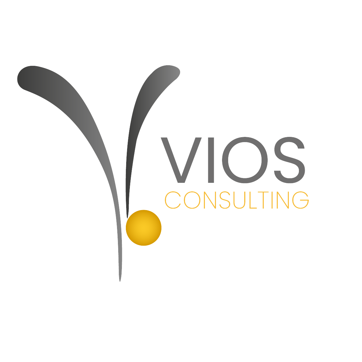 Equipo — Vios Consulting