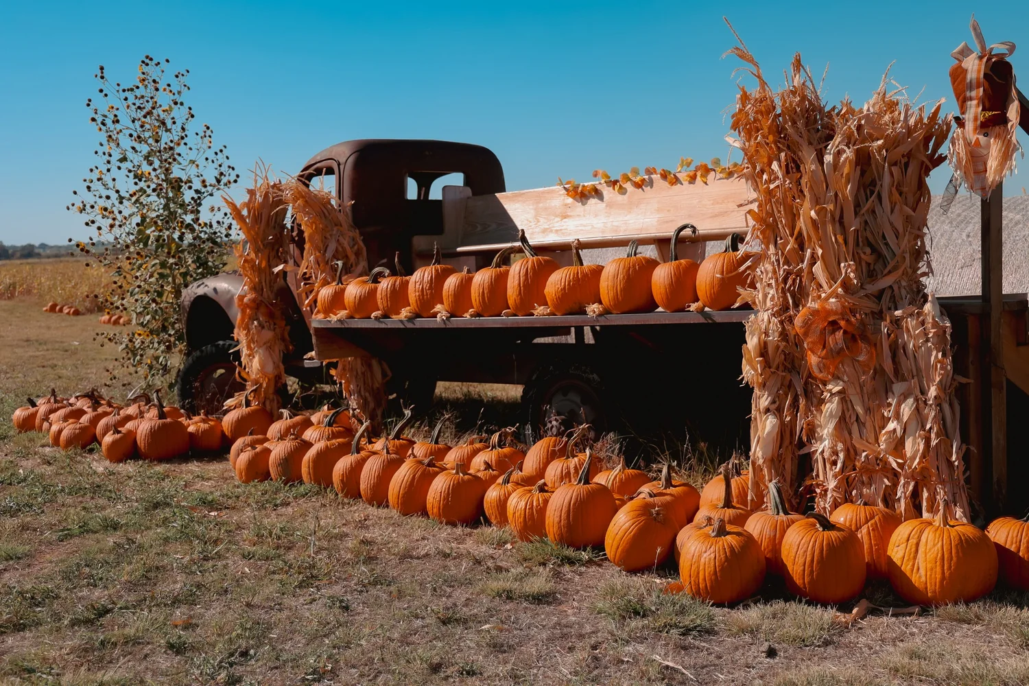 Jahn's Pumpkin Hill: Pumpkin Patch & Family Fun in Oklahoma