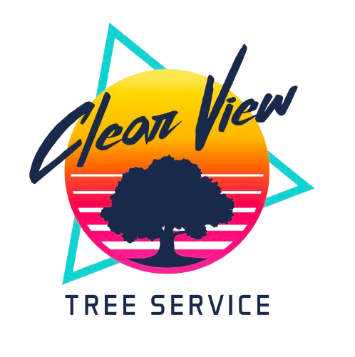 Clear View Tree Service | Enhance Your Trees Today