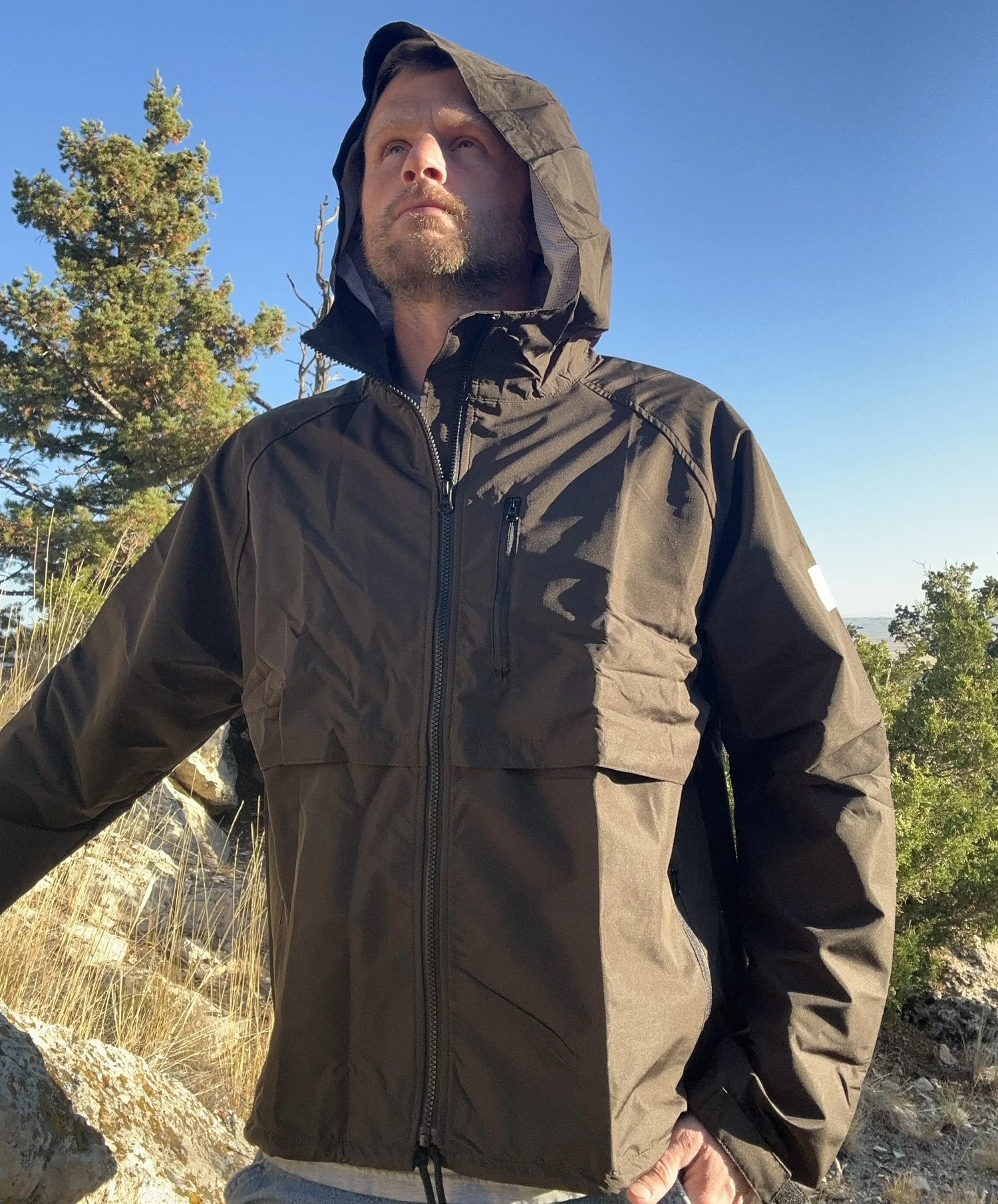 Shop — Moss Brown & Co