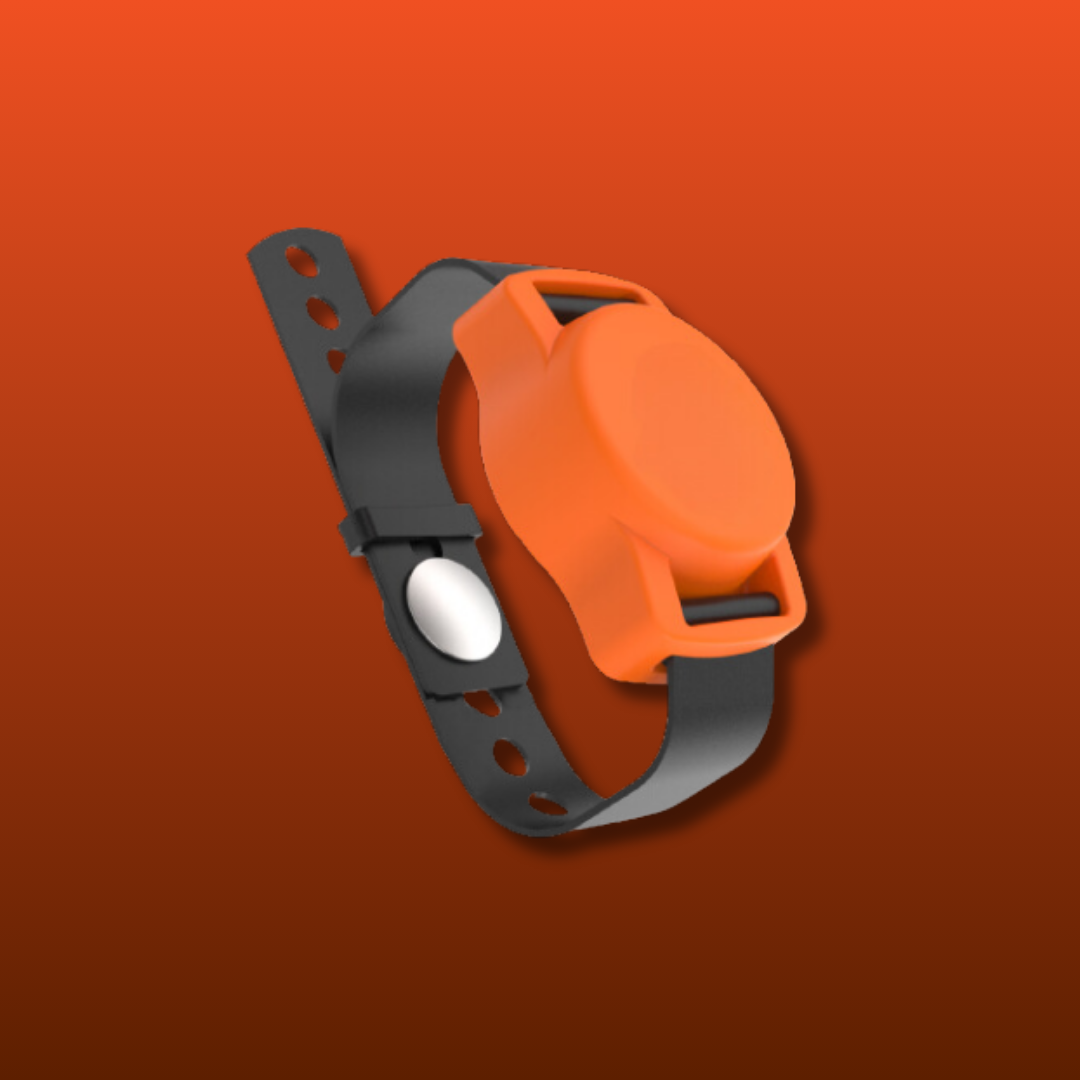 Parole Tracker — Austin Circuit Design