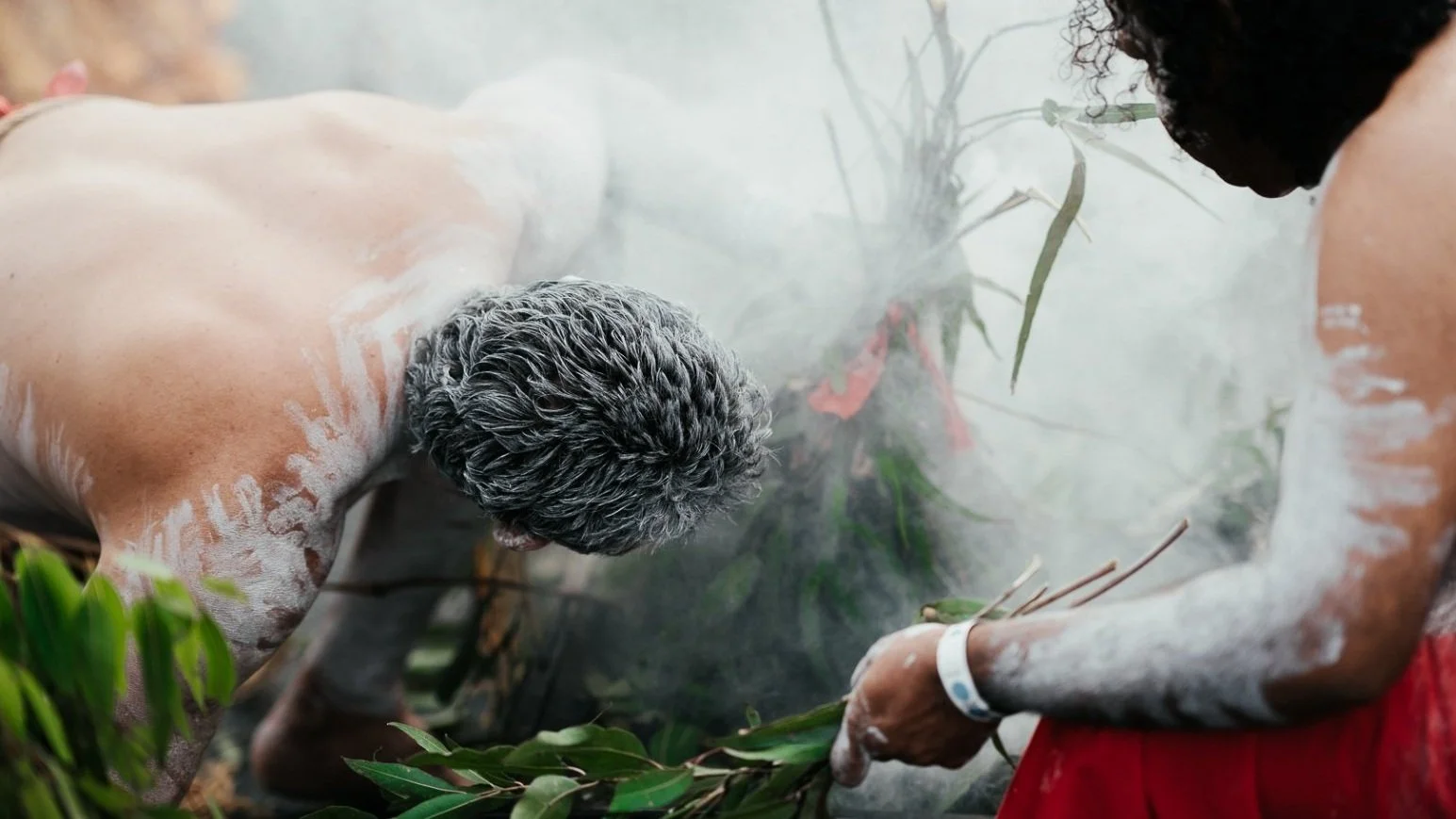 Discover Australia's bush tucker: an Aboriginal culinary journey ...