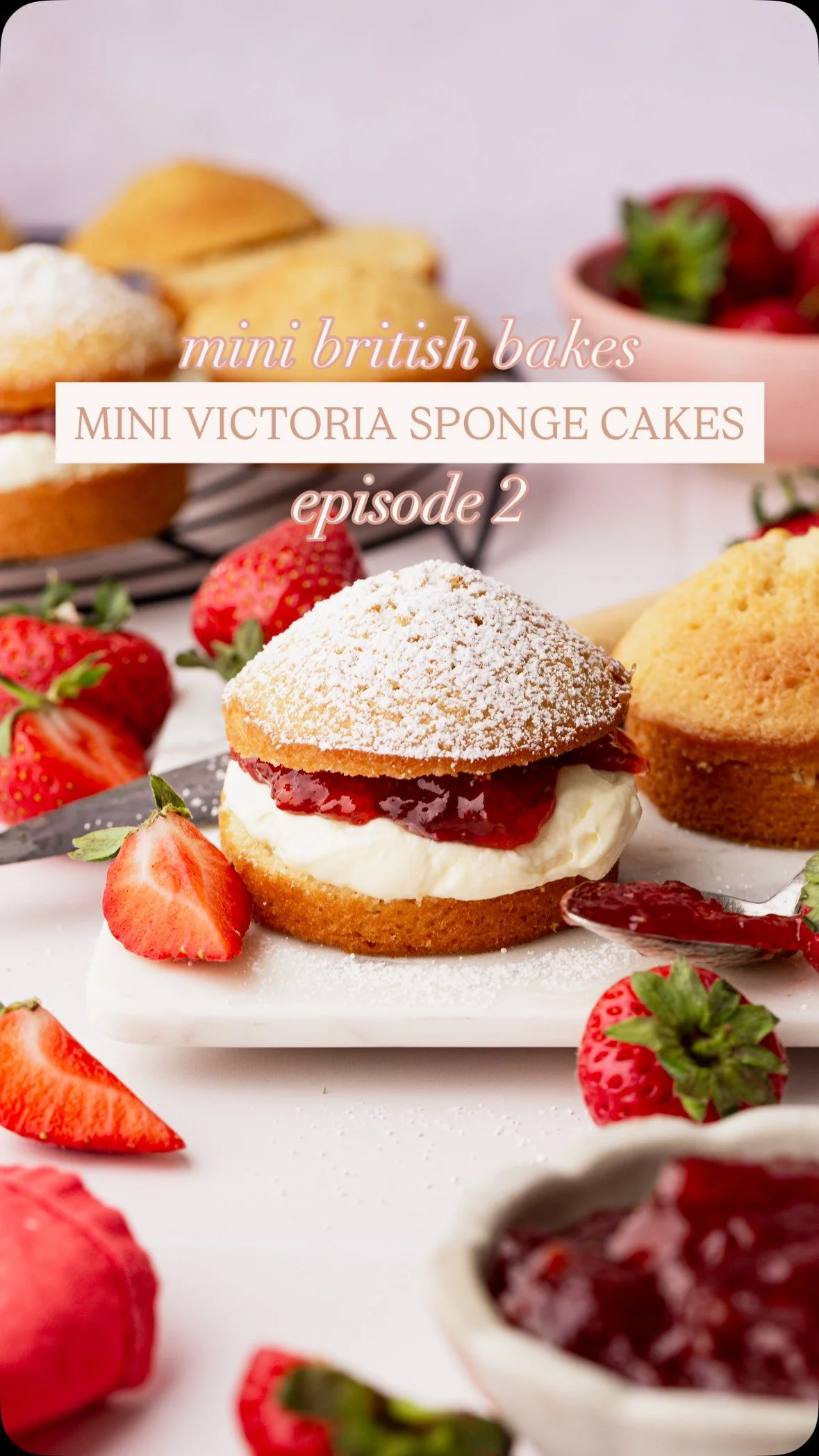 Mini Victoria Sponge Cakes — A Cup of Tea and Cake