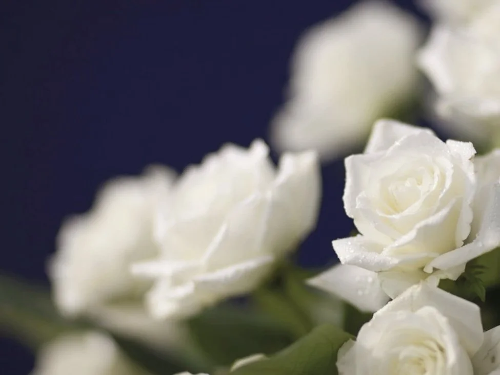 Find Support | Find Funeral Directors — AtaLoss.org: UK wide ...