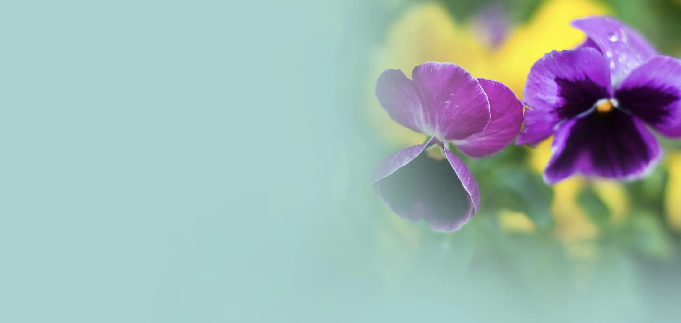 Help Us | In Memory - Create Memorial Pages — AtaLoss.org: UK wide ...