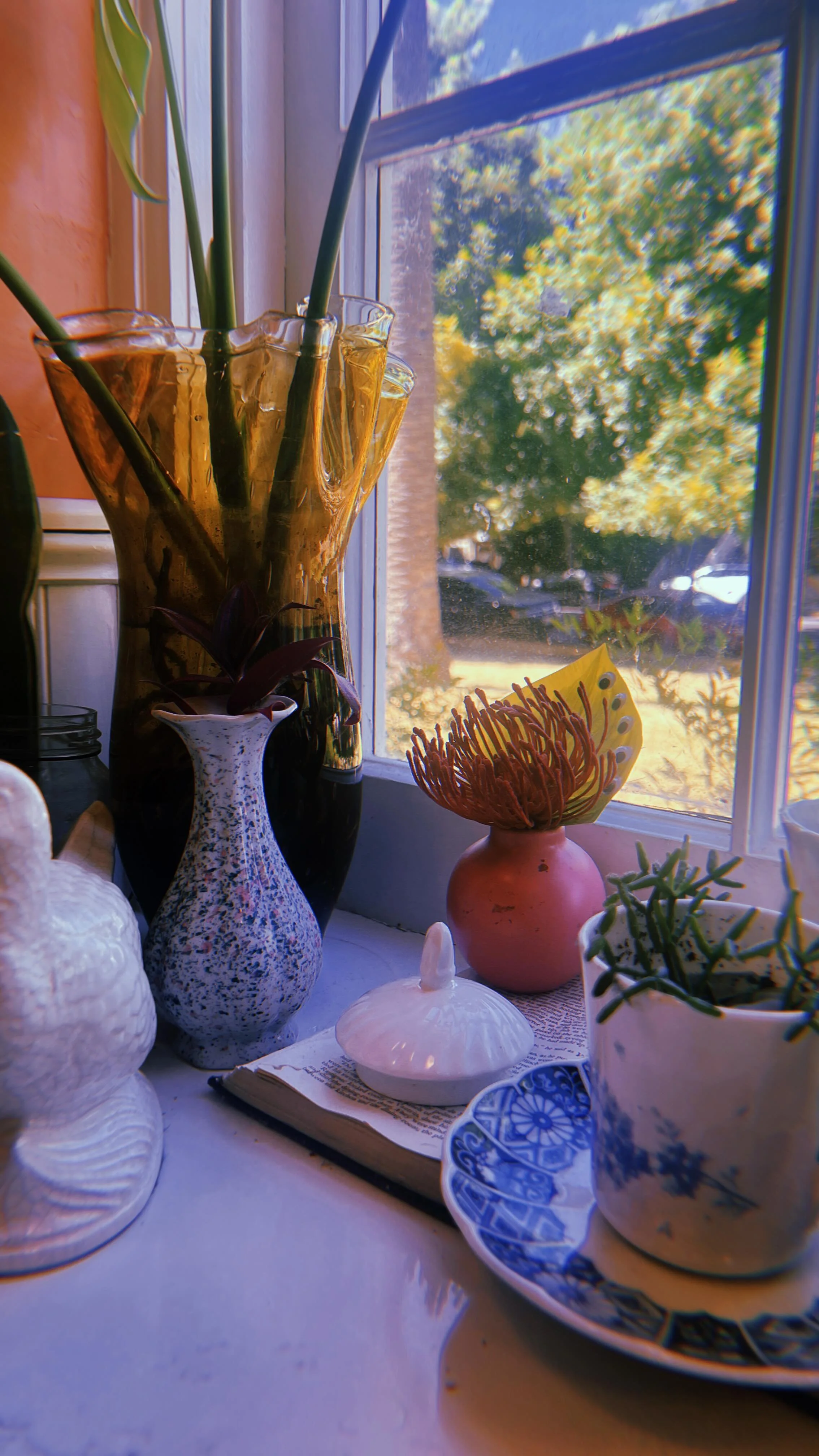 Ancestral Wellness Co.