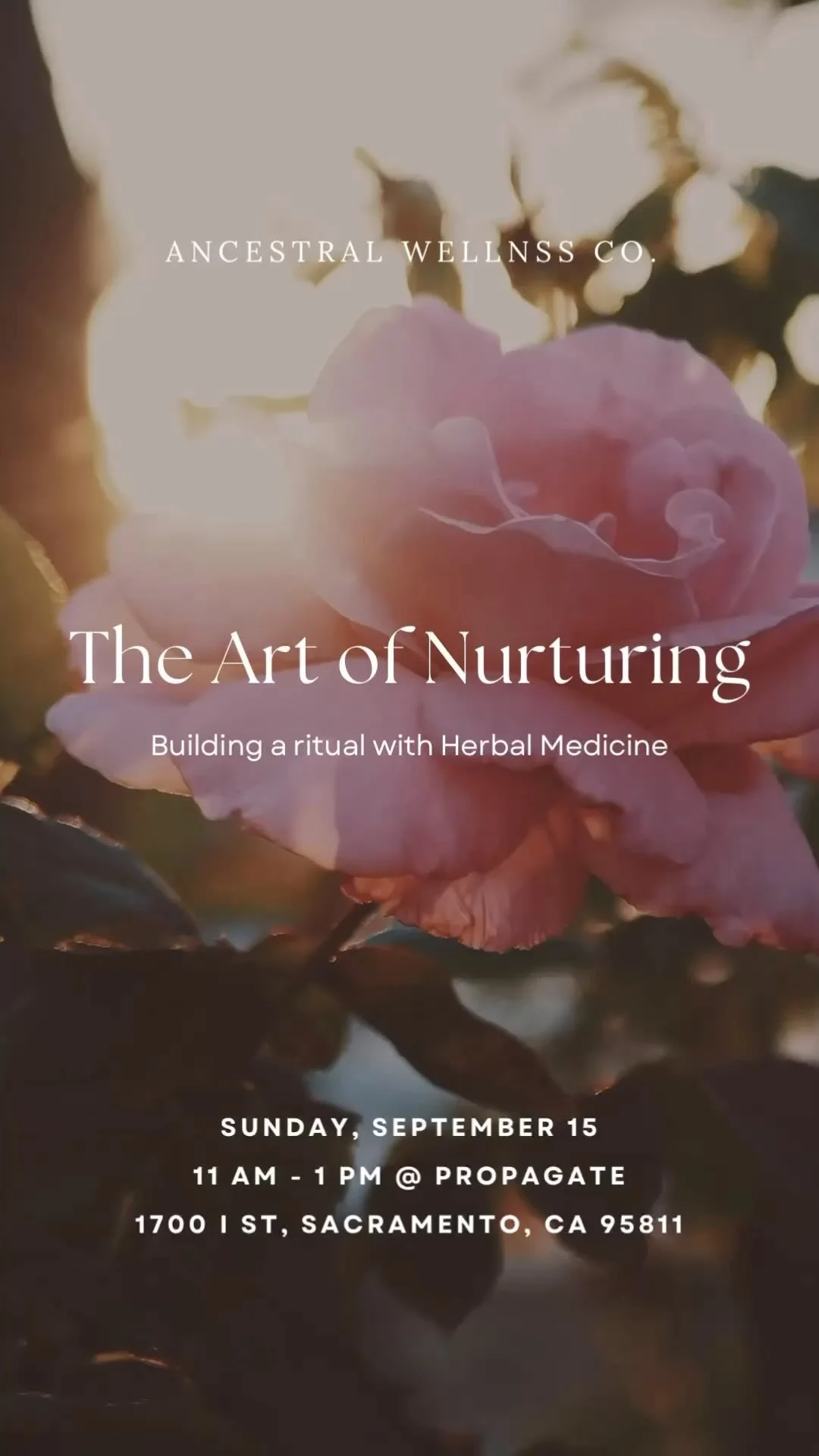 Ancestral Wellness Co.